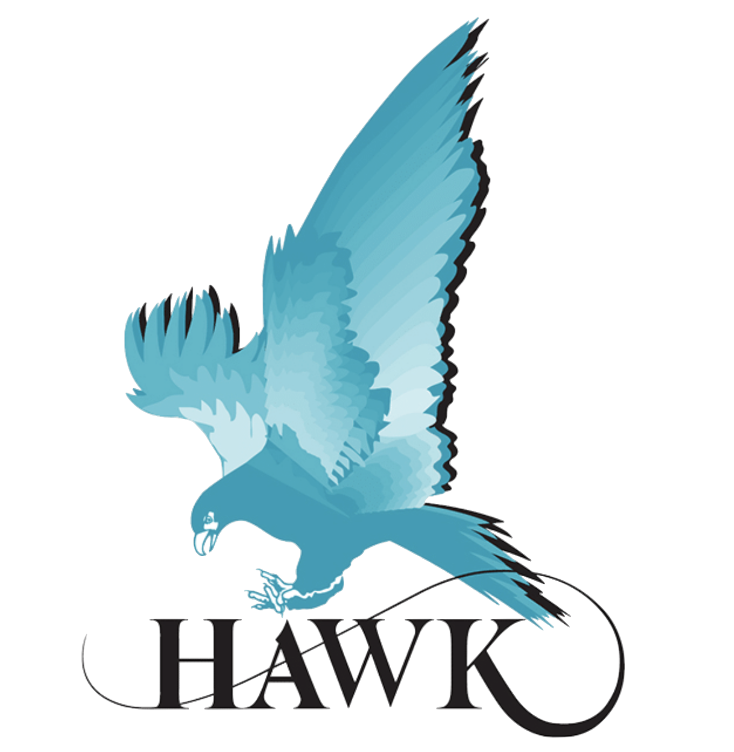 Hawk Measurement Systems • Fluid Handling Pro