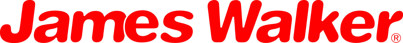 Devlon® X100, the Next Generation Valve Seat Material from James Walker ...