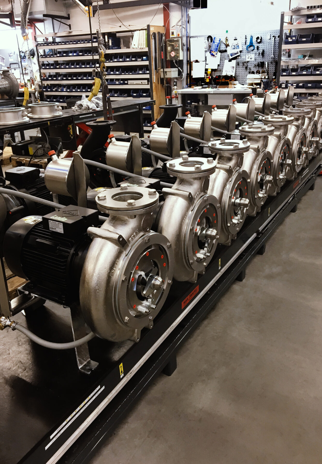 Starters, Main Course & dessert For Hungry Landia Chopper Pumps