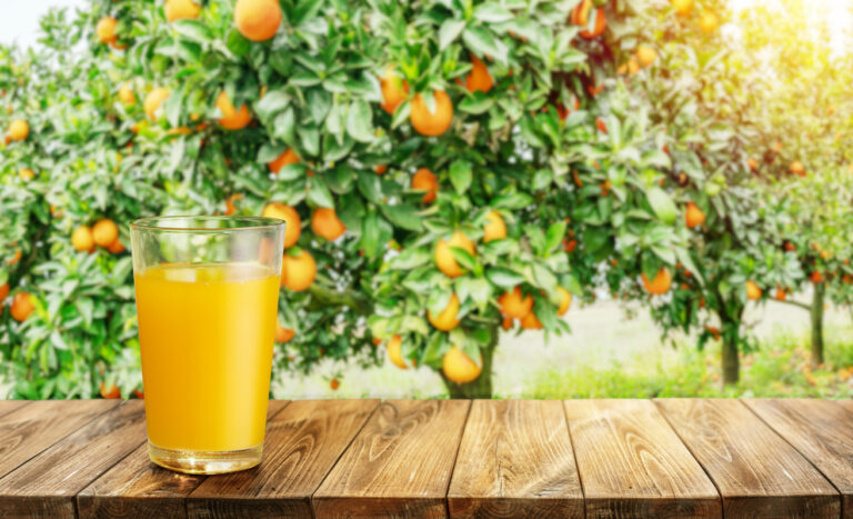 Are We Seeing a Structural Shift in Orange Juice Production? • Fluid ...